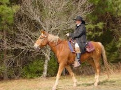 A Methodist circuit rider received $100 and had to go where he was sent ...