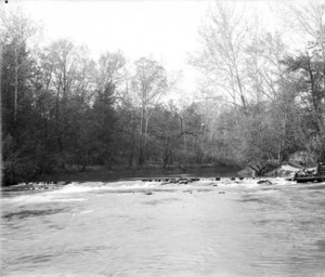 UPDATED WITH POD CAST – Brierfield State Park in Alabama was once a ...