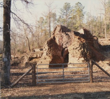 UPDATED WITH POD CAST – Brierfield State Park in Alabama was once a ...