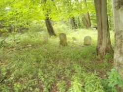 PATRON + TOMBSTONE TUESDAY: Three Native American epitaphs from New ...