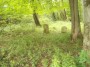 AUTHOR SUNDAY: Old Cemeteries are often hidden in the forests – You can ...