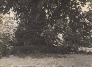 Eufaula – a beautiful historic city, has many historic houses still ...