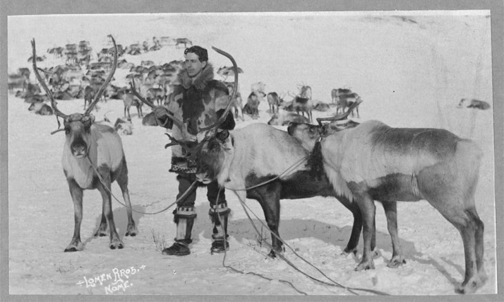 So this is why Santa’s reindeer have good directions & manage to find ...