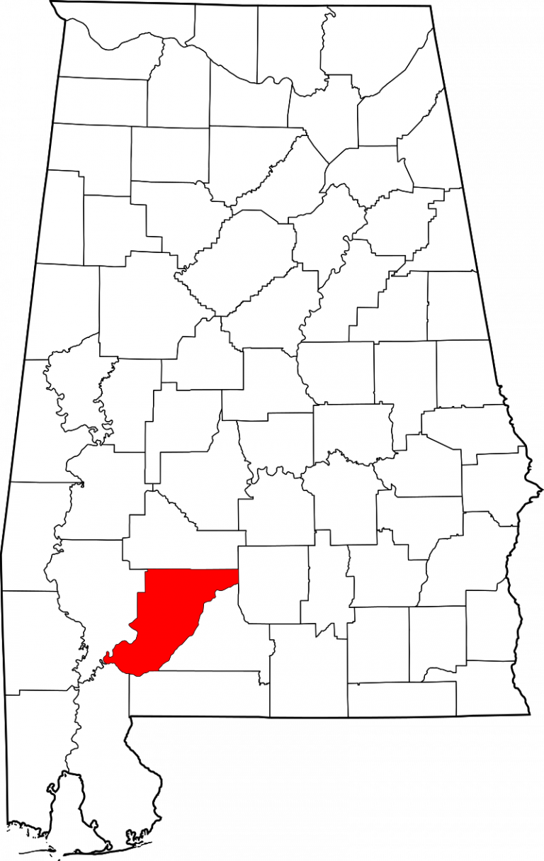 PATRON – Early pictures from Bibb County, Alabama includes photograph ...