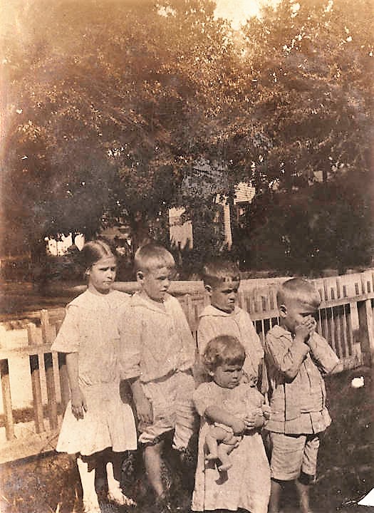 Journal of C. J. Hildreth, of Albany/New Decatur, Alabama from 1889 ...